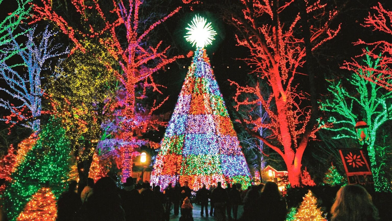 Best Christmas Light Displays in Washington State 2025 🎄 Must-See ...